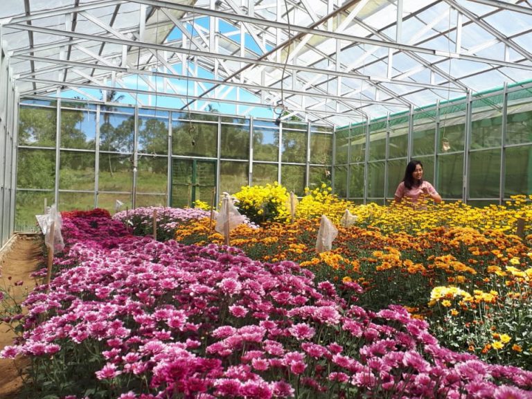 Wisata Taman Bunga di Indonesia, Instagramable Banget!